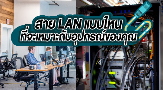 สาย LAN แบบไหนที่จะเหมาะกับอุปกรณ์ของคุณ | TP-Link ประเทศไทย