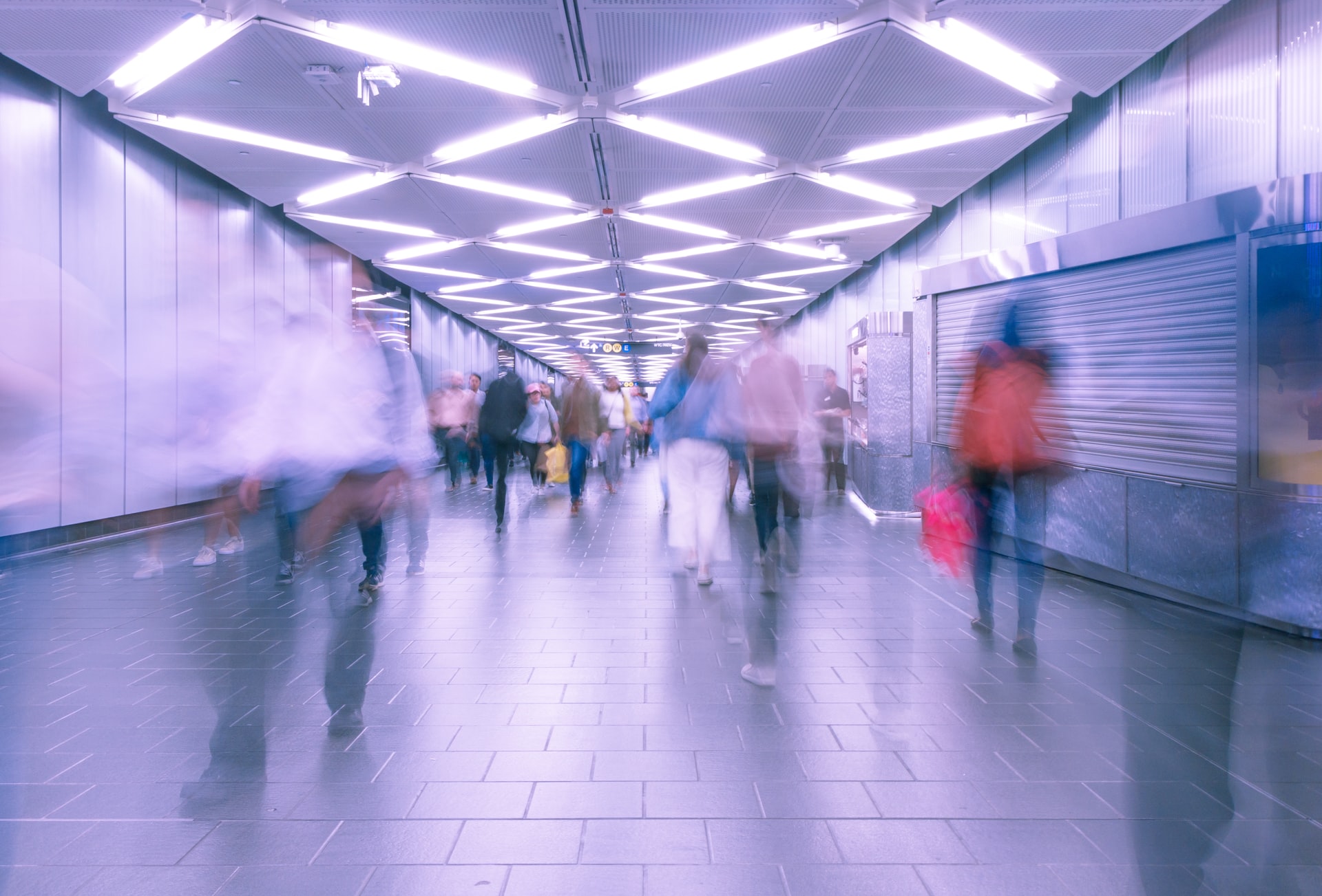 Del IoT al IoB: ¿Qué es en realidad? | TP-Link España