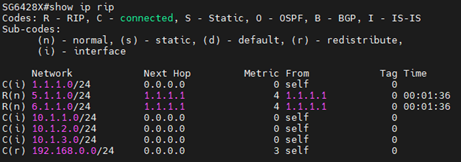 Omada Switches RIP Configuration Guide | TP-Link Ecuador